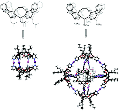 Halogen bonds of halonium ions - Chemical Society Reviews (RSC ...