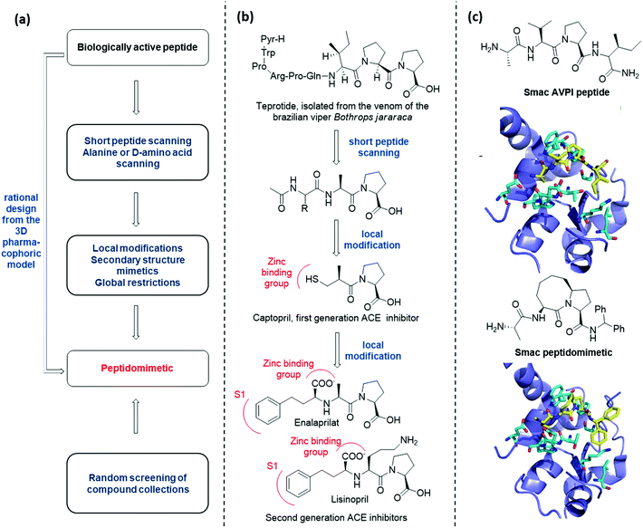 Peptidomimetic toolbox for drug discovery - Chemical Society Reviews ...