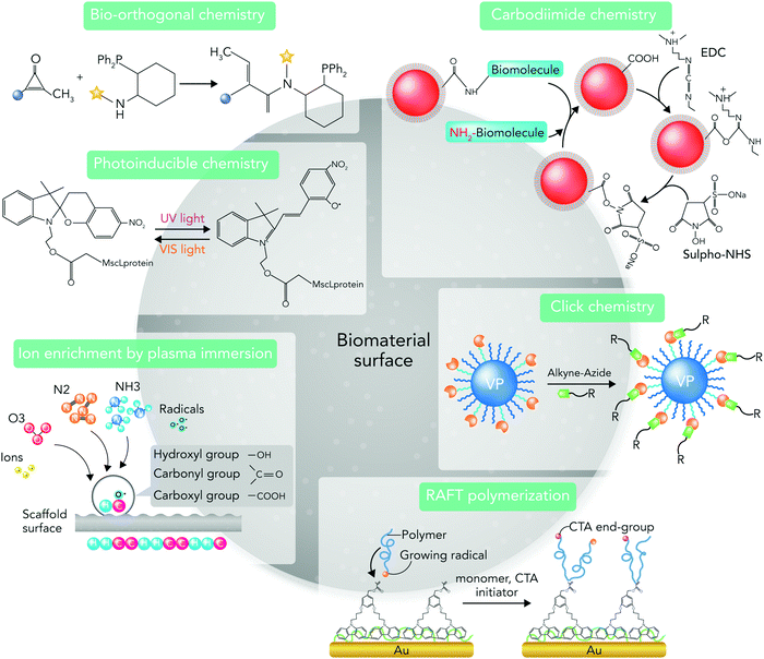 Biological responses to physicochemical properties of biomaterial ...