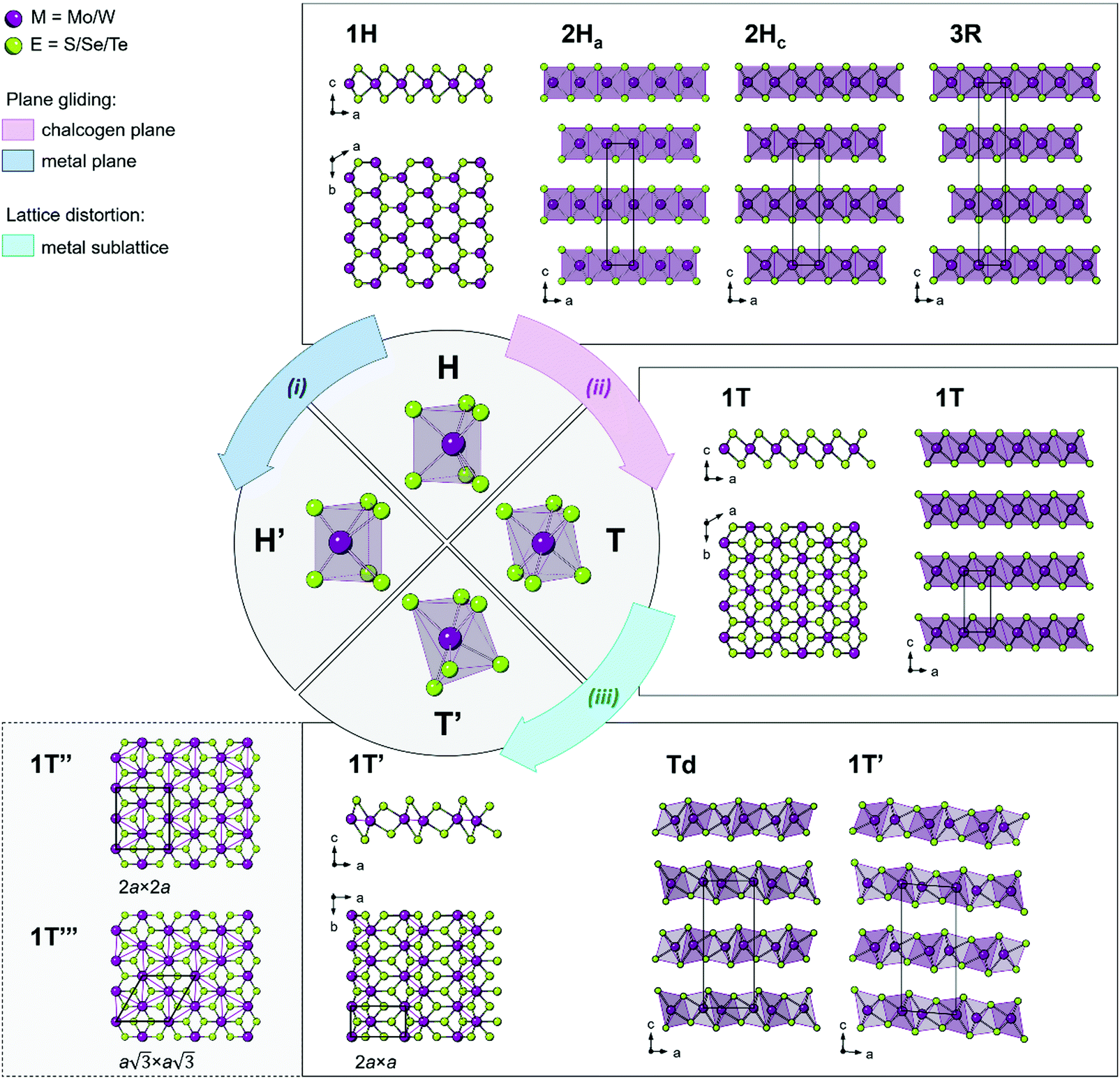 Direct synthesis of metastable phases of 2D transition metal ...