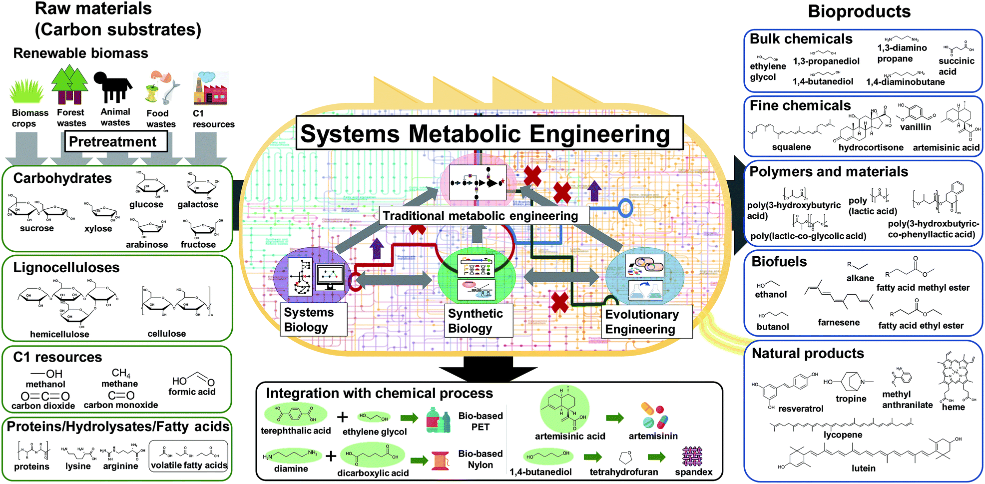 Tools and strategies of systems metabolic engineering for the development of microbial cell ...
