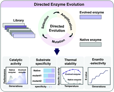 Tools and strategies of systems metabolic engineering for the ...