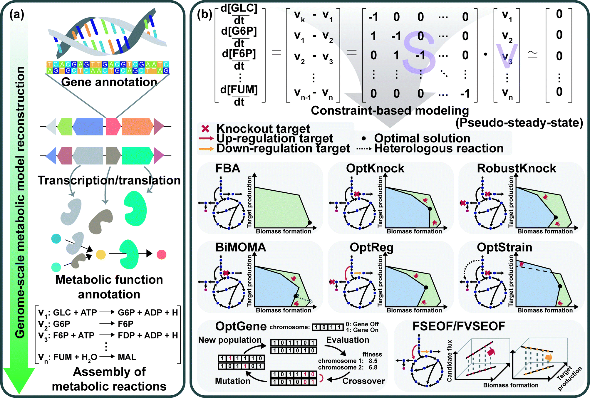 Tools and strategies of systems metabolic engineering for the ...