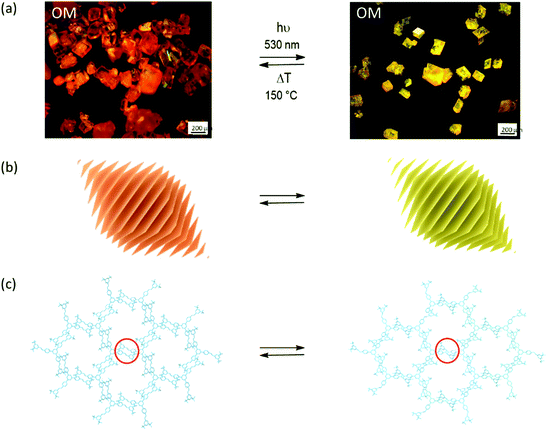 How to use X-ray diffraction to elucidate 2D polymerization propagation ...