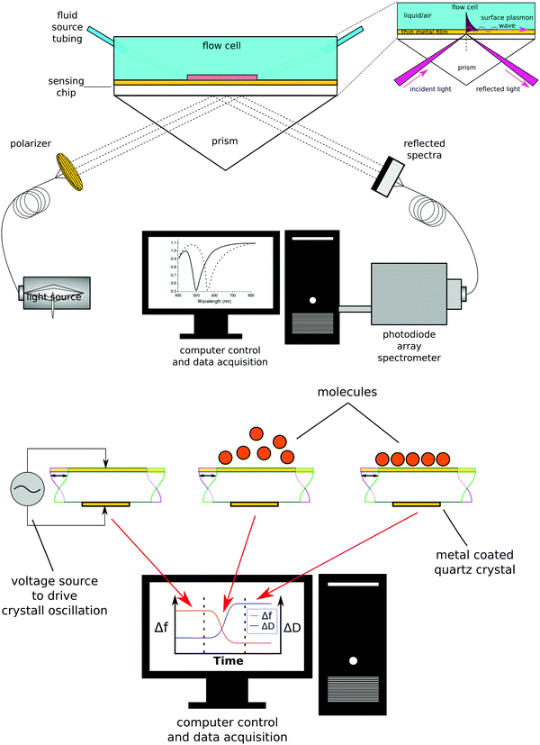 Surface analysis tools for characterizing biological materials ...