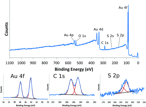 Surface analysis tools for characterizing biological materials ...