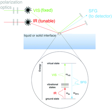 Surface analysis tools for characterizing biological materials ...