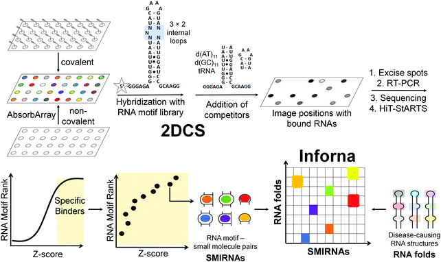 Design of small molecules targeting RNA structure from sequence ...