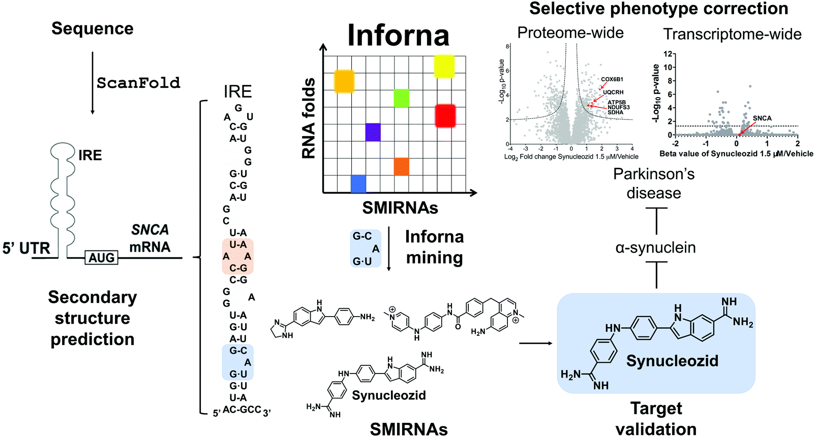 Design of small molecules targeting RNA structure from sequence ...