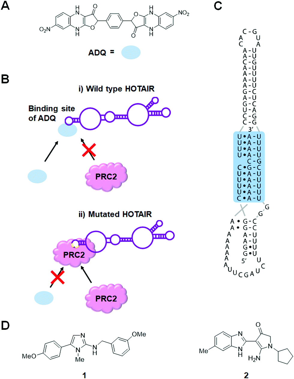 Small molecule recognition of disease-relevant RNA structures ...