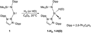 Where silylene–silicon centres matter in the activation of small ...