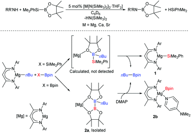 Synthesis and reactivity of alkaline-earth stannanide complexes by ...