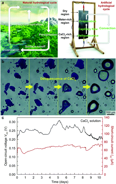 Self-operating transpiration-driven electrokinetic power generator with ...
