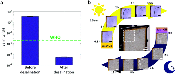 Ultrahigh-efficiency desalination via a thermally-localized multistage ...