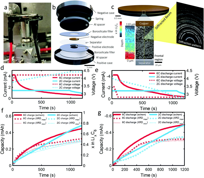 Spatial dynamics of lithiation and lithium plating during high-rate ...