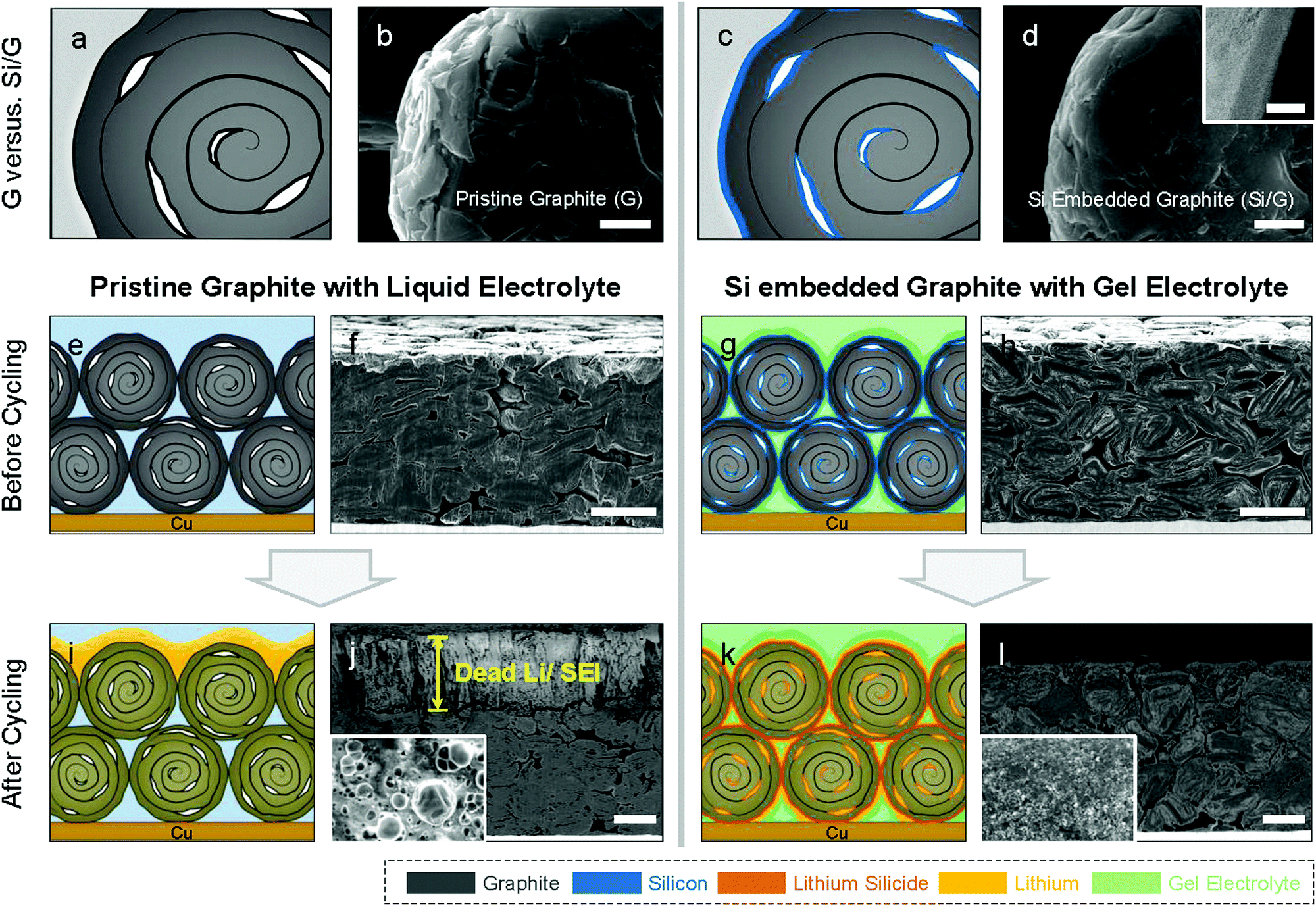 High energy density anodes using hybrid Li intercalation and plating ...