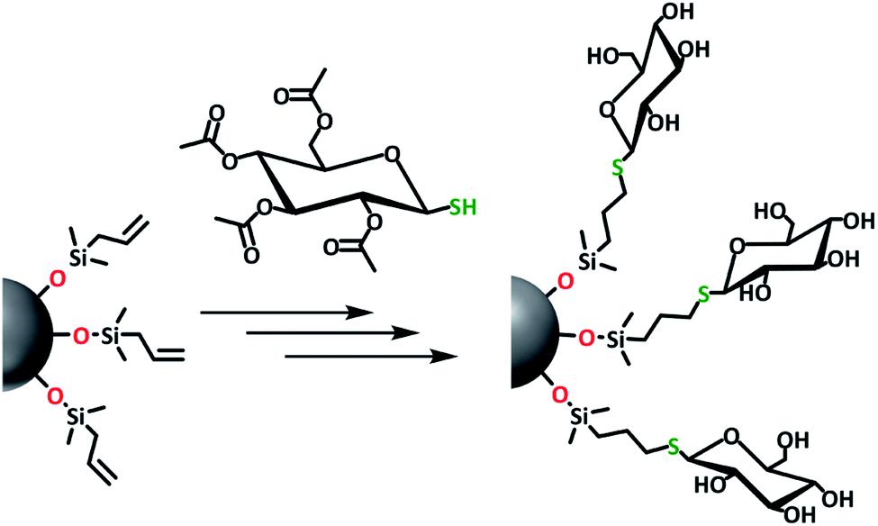 Fast room-temperature functionalization of silicon nanoparticles using ...