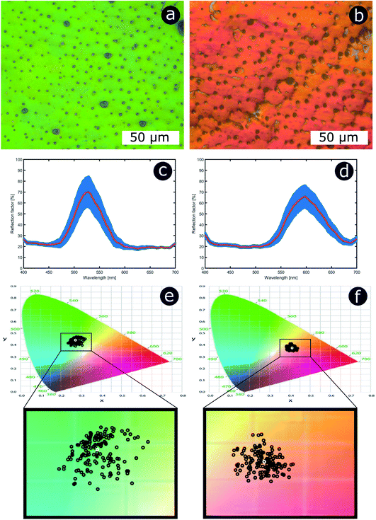 Optical costs and benefits of disorder in biological photonic crystals ...