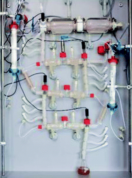 Simulating human digestion: developing our knowledge to create ...