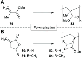 Applications of xylochemistry from laboratory to industrial scale ...