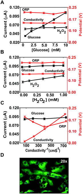 A self-calibrating and multiplexed electrochemical lab-on-a-chip for ...