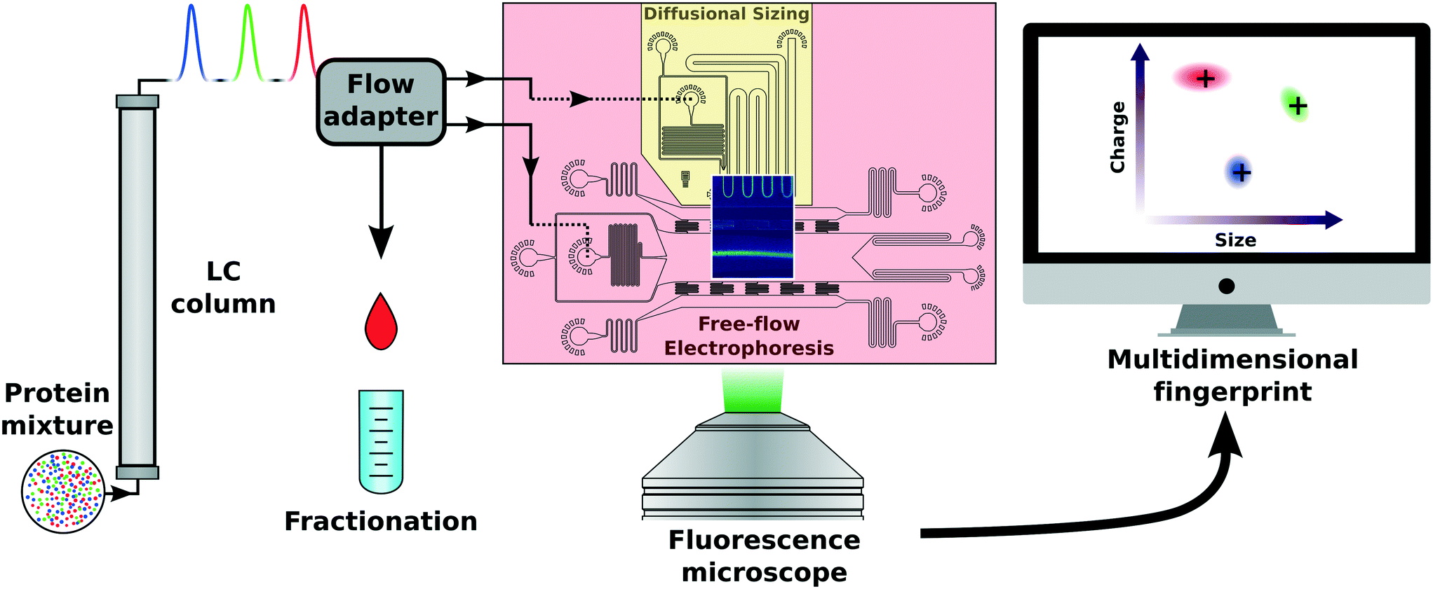 Multidimensional protein characterisation using microfluidic post ...