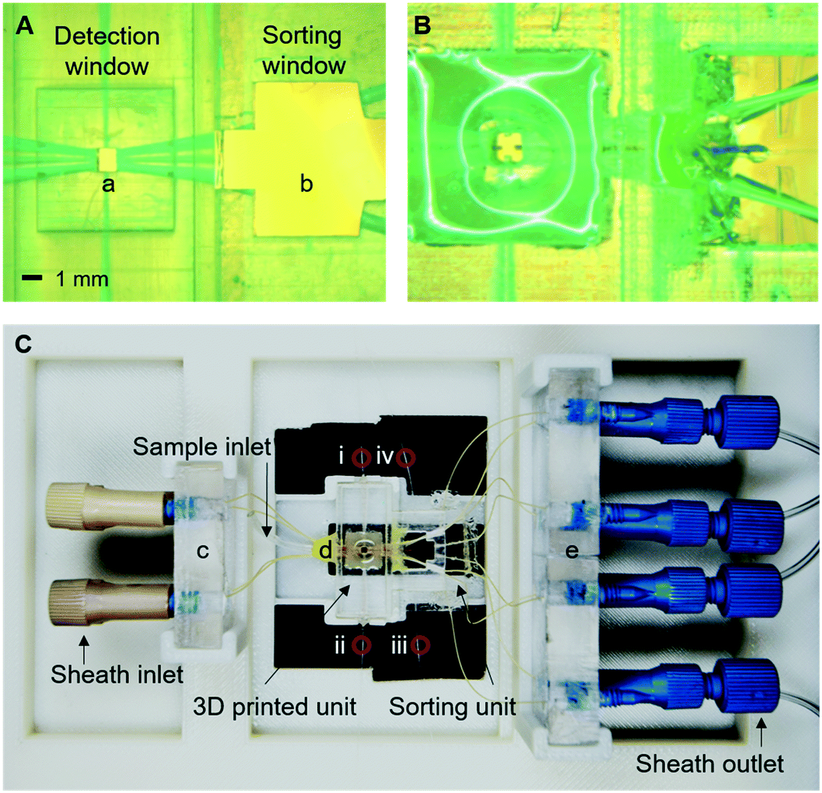 Automated Raman based cell sorting with 3D microfluidics - Lab on a Chip (RSC Publishing) DOI:10 ...