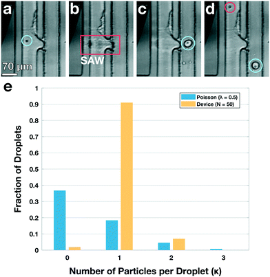 Selective cell encapsulation, lysis, pico-injection and size-controlled ...