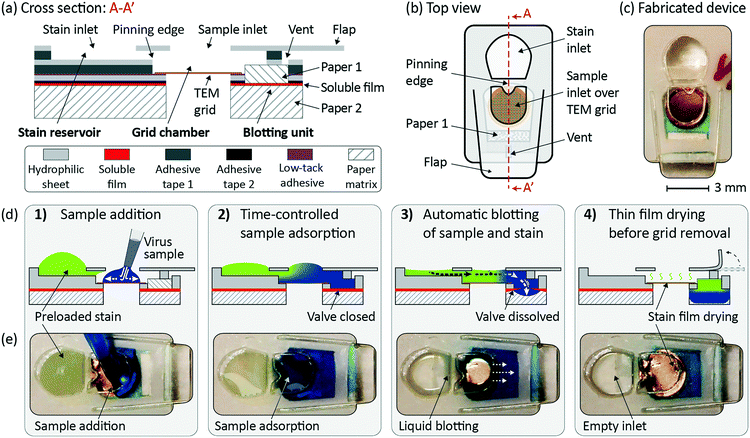 A microfluidic device for TEM sample preparation - Lab on a Chip (RSC ...