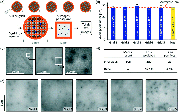 A microfluidic device for TEM sample preparation - Lab on a Chip (RSC ...
