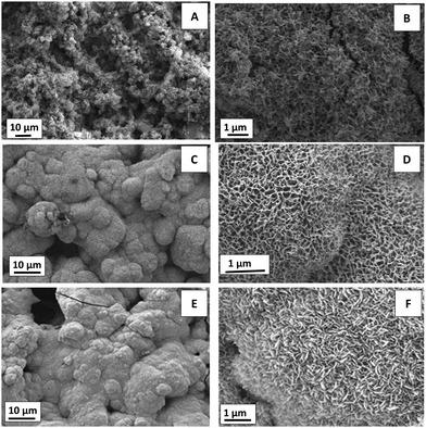 Ag and Mn-doped mesoporous bioactive glass nanoparticles incorporated ...
