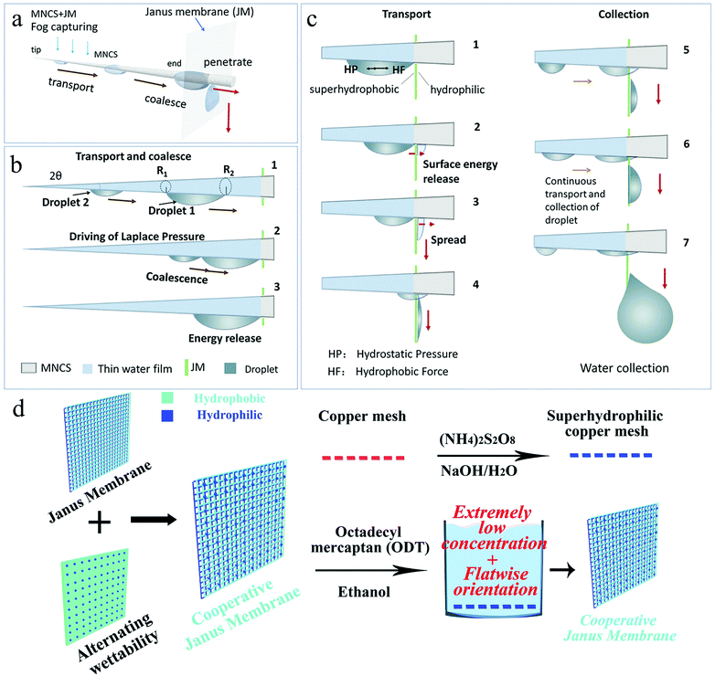 Heresite Immersion Coating Process Madok Manufacturing Inc