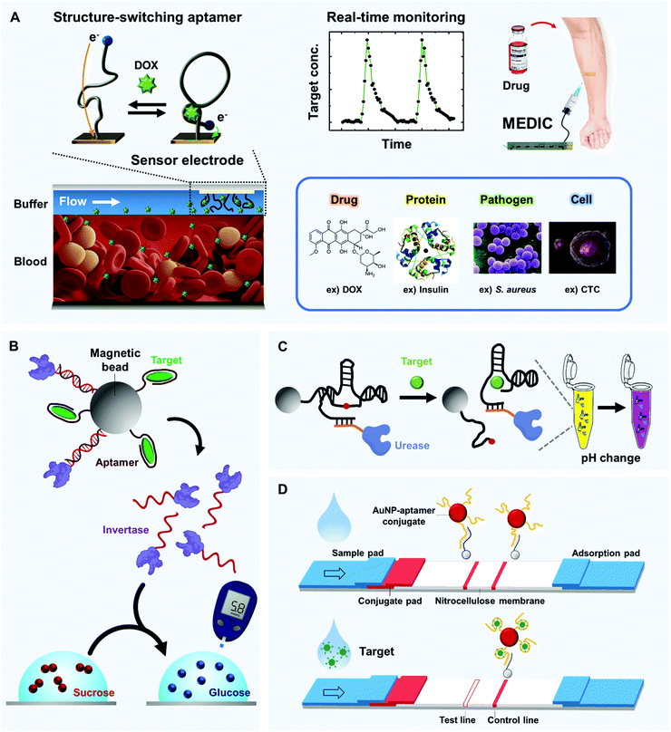 Detection and beyond: challenges and advances in aptamer-based ...