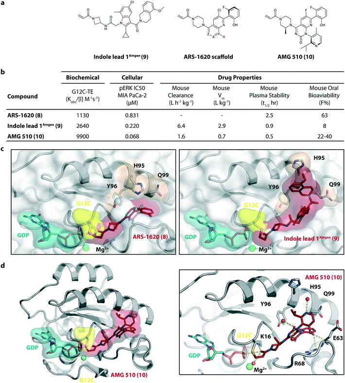 KRasG12C inhibitors in clinical trials: a short historical perspective ...