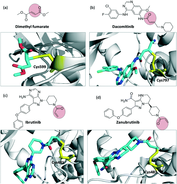 Covalent inhibitors: a rational approach to drug discovery - RSC ...