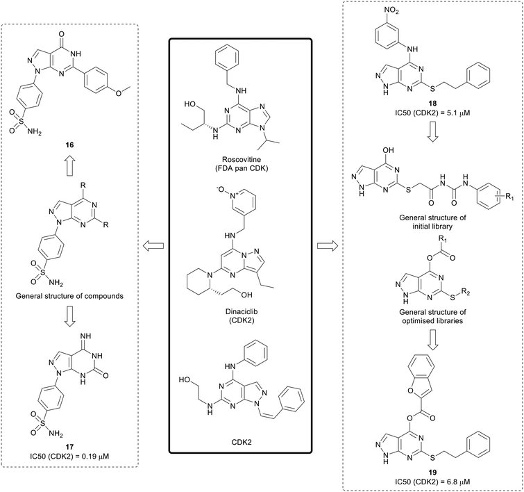 Recent developments in anticancer kinase inhibitors based on the ...
