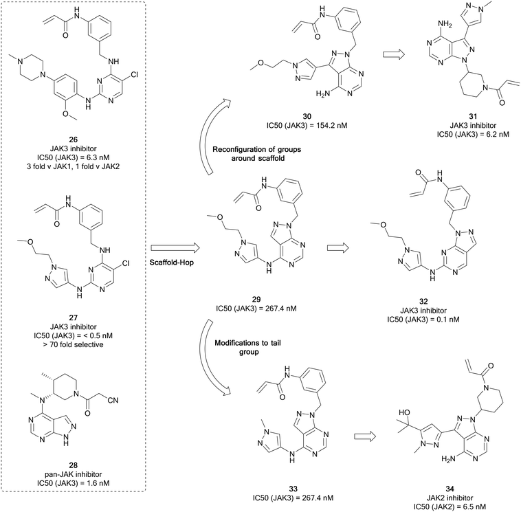 Recent developments in anticancer kinase inhibitors based on the ...