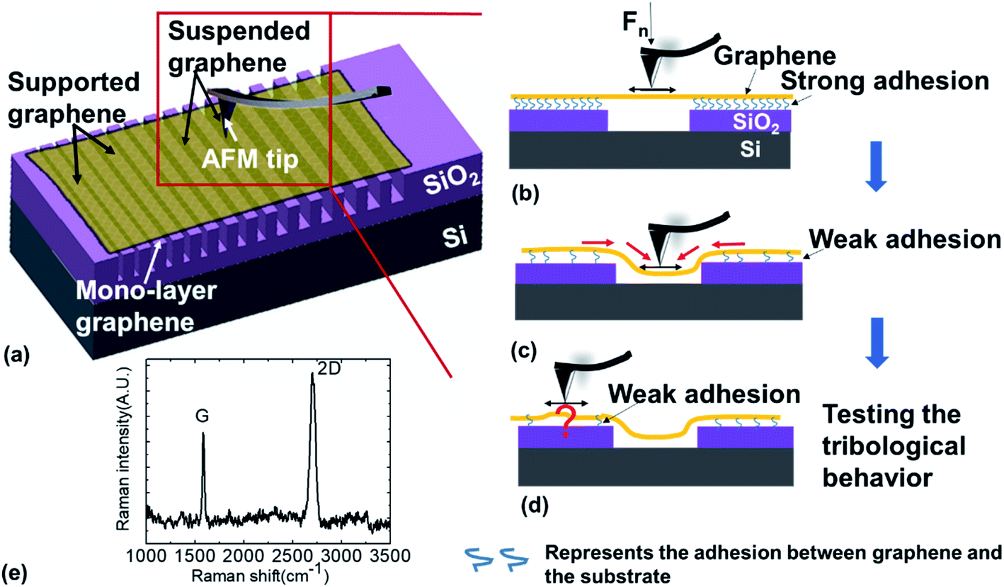 A hillock-like phenomenon with low friction and adhesion on a graphene surface induced by ...