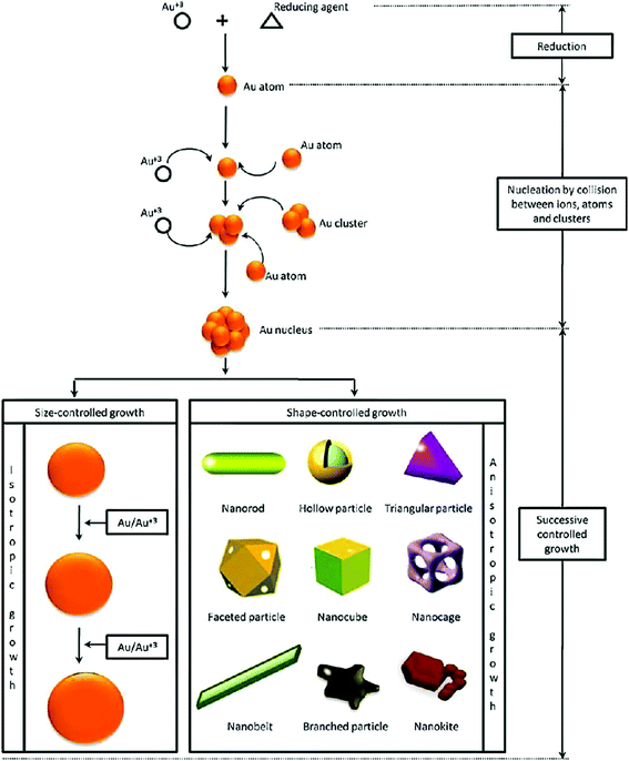 Role of gold nanoparticles in advanced biomedical applications ...
