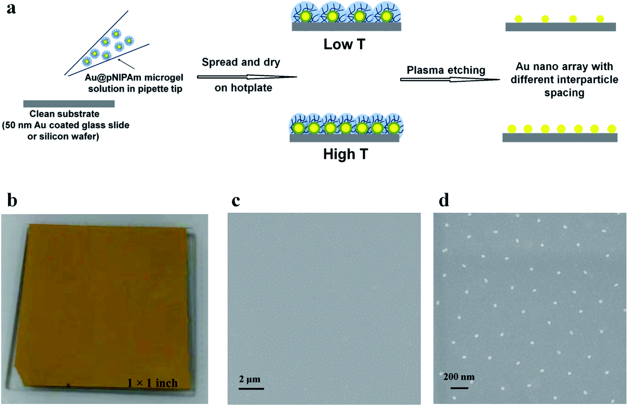 Stimuli-responsive microgels for controlled deposition of gold ...