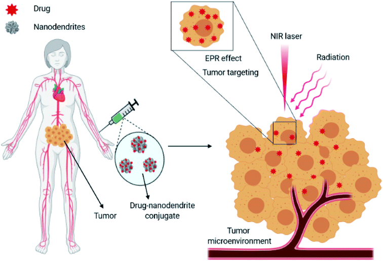 Therapeutic nanodendrites: current applications and prospects ...