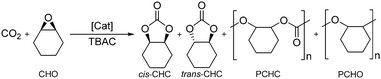 Salalen vs. thiolen: in the ring(-opening of epoxide and cyclic ...