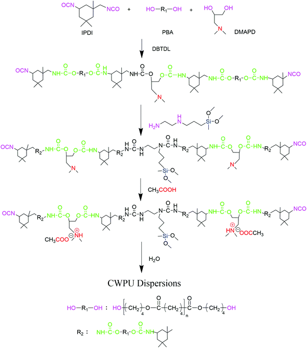 Synthesis and antibacterial investigation of cationic waterborne ...