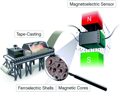 First-time synthesis of a magnetoelectric core–shell composite via ...