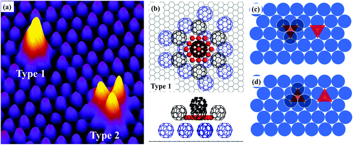 On-surface synthesis of size- and shape-controlled two-dimensional Au n ...