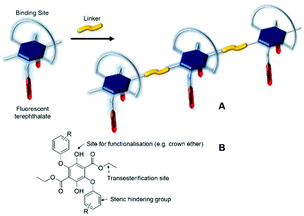 Functionalized fluorescent terephthalate monomers and their attempted ...