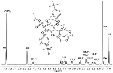 Functionalized fluorescent terephthalate monomers and their attempted ...