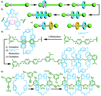 Synthetic strategies towards mechanically interlocked oligomers and ...