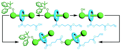 Synthetic strategies towards mechanically interlocked oligomers and ...