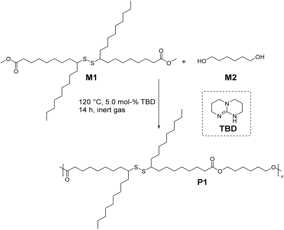 The unrevealed potential of elemental sulfur for the synthesis of high ...